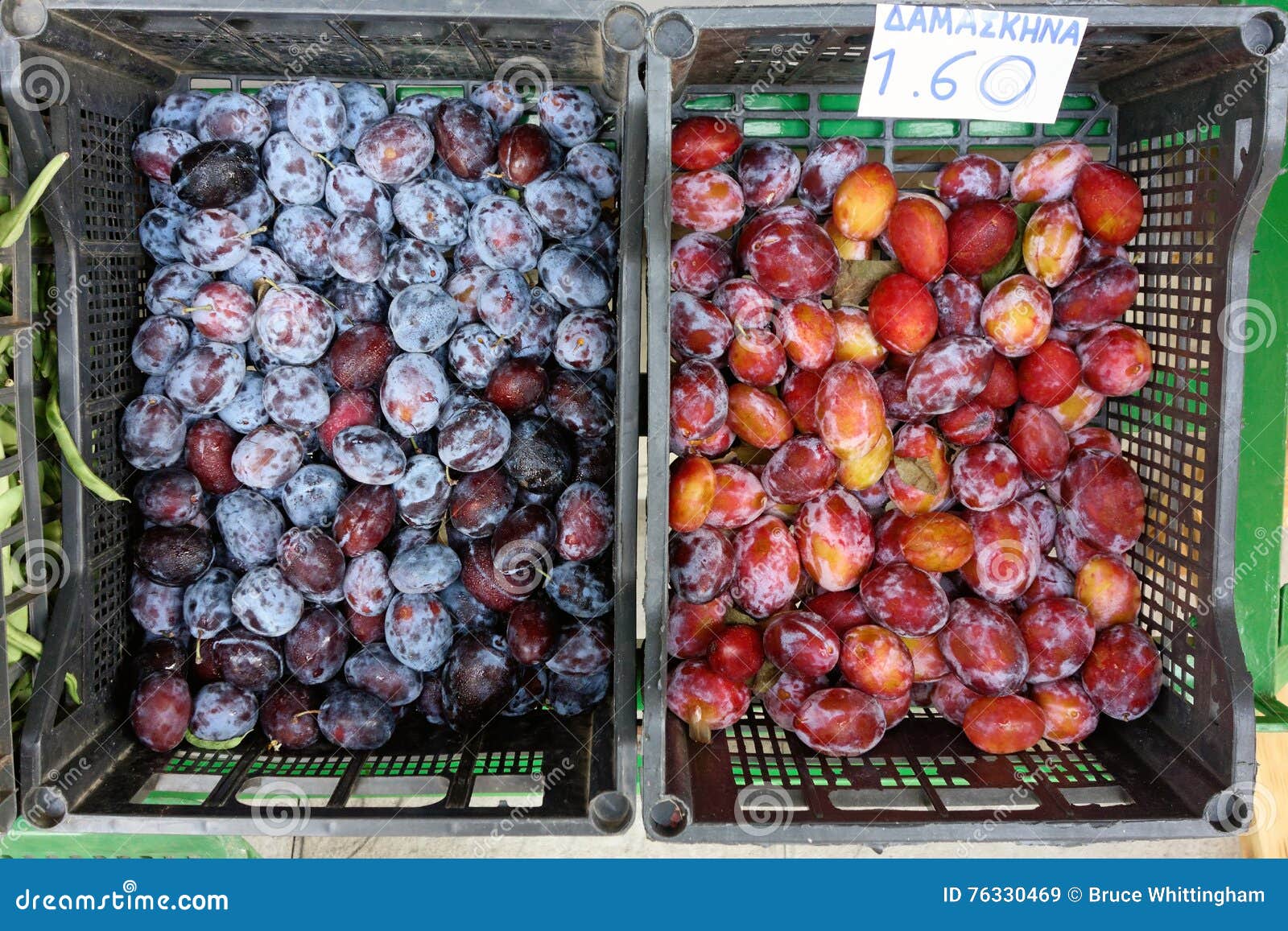 Wilde Gist Op Rijpe Rode Pruimen Stock Afbeelding - Image of sappig ...