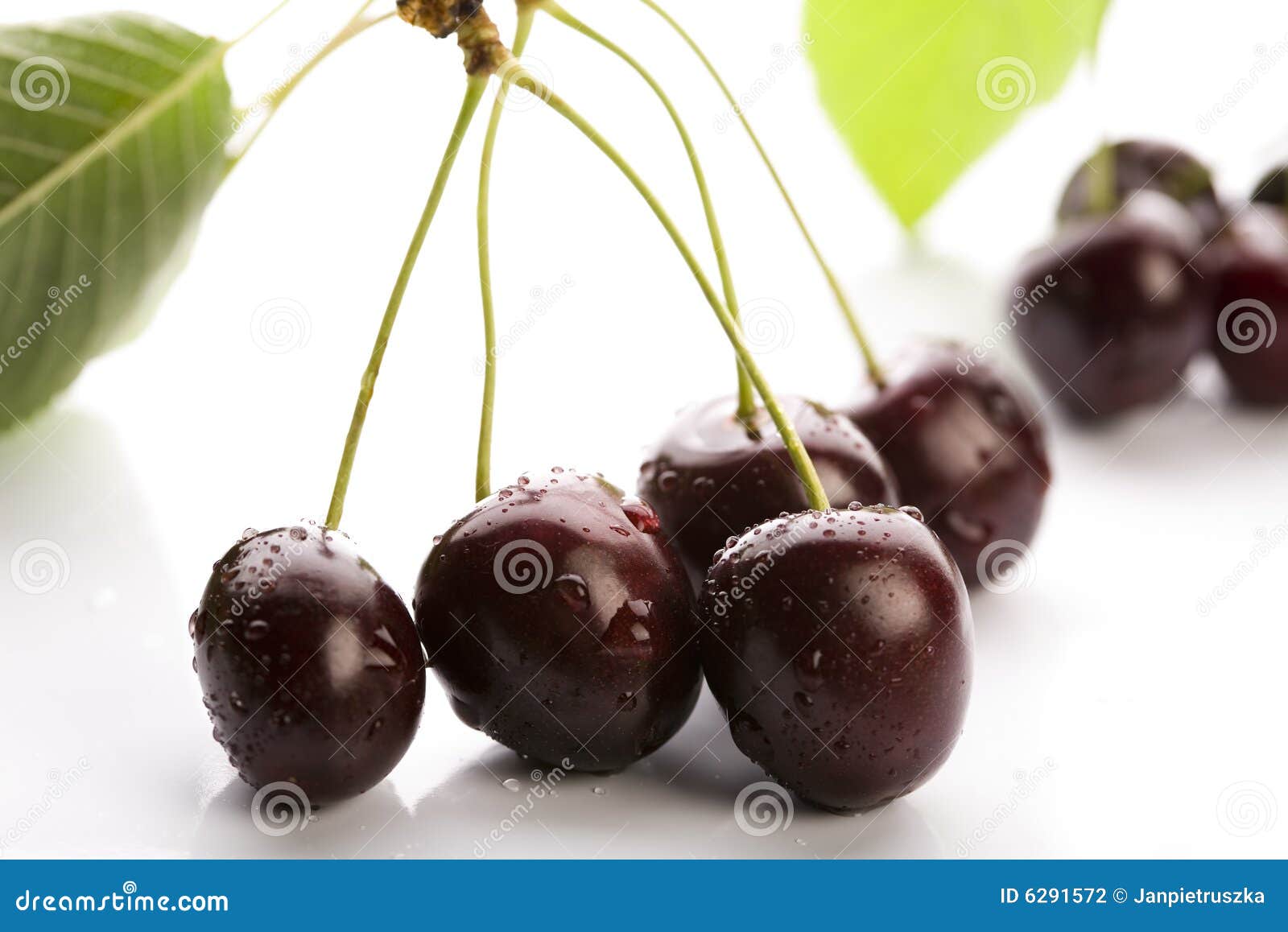 Wilde Kersen of Zoete Kersen Stock Foto - Image of geïsoleerd, dubbel ...