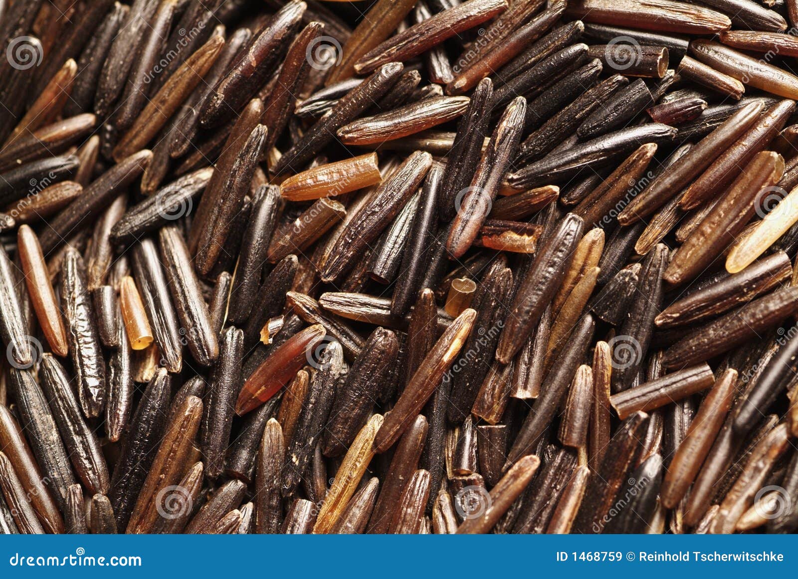 Wilde Rijst stock afbeelding. Image of korrels, sluit - 1468759