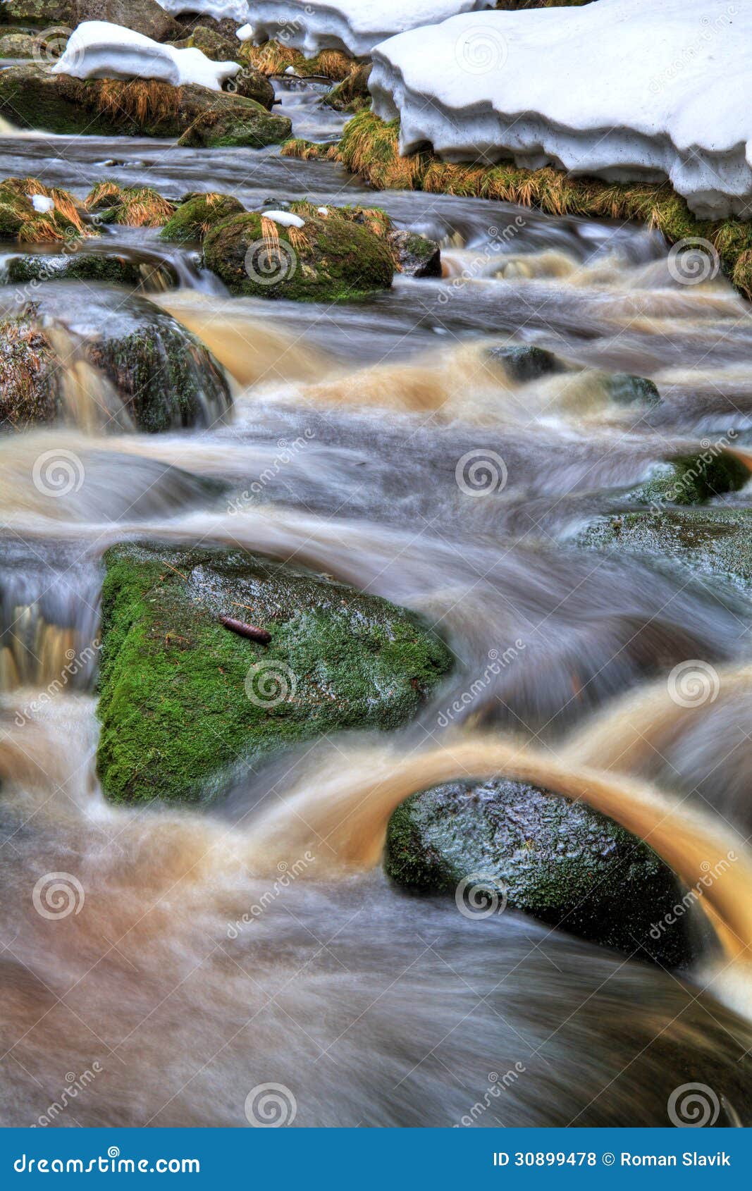 Wilde rivier in bos stock foto. Image of boom, daling - 30899478