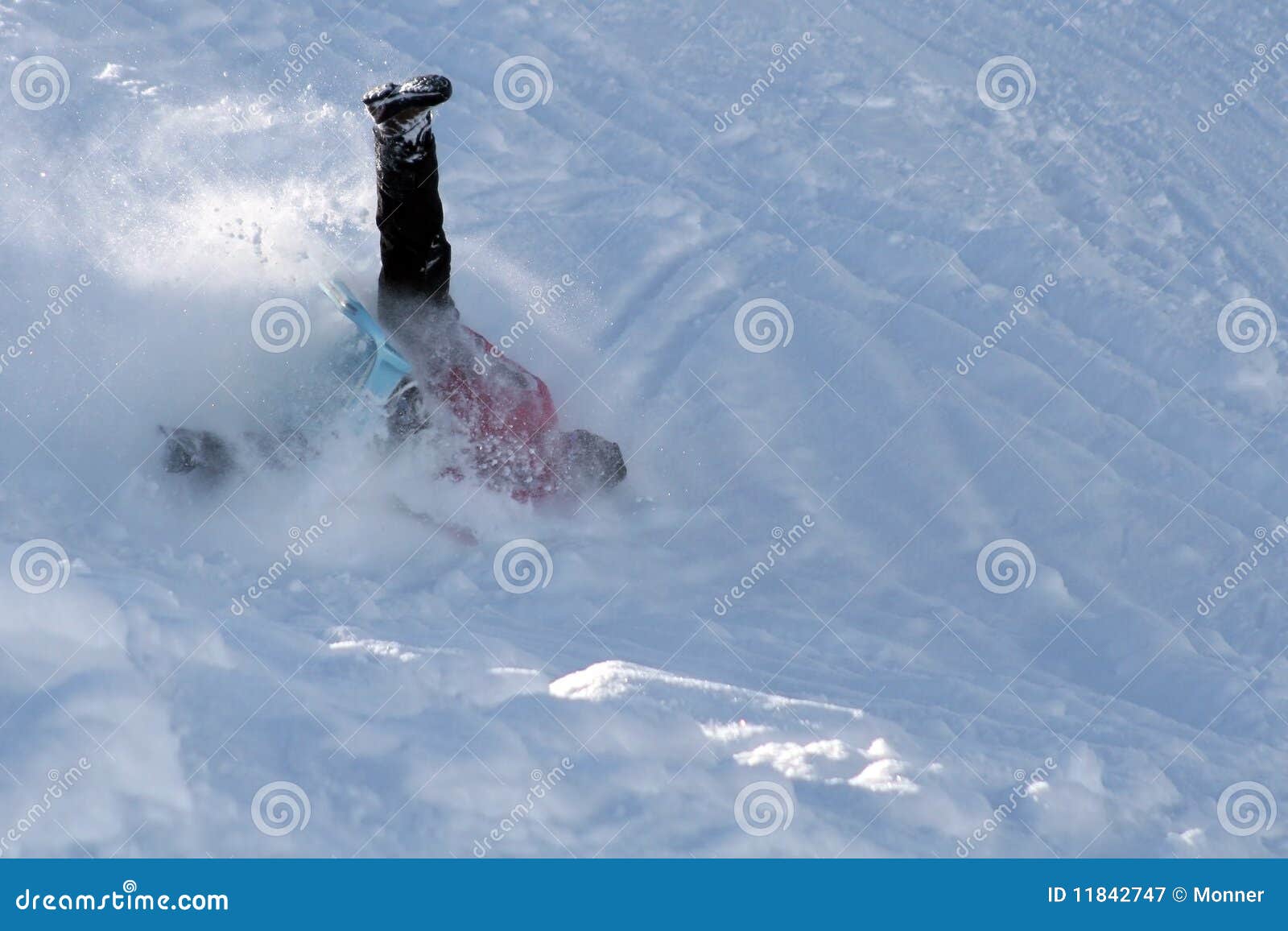 Wilde toboggan ride stock image. Image of sledge, toboggan - 11842747