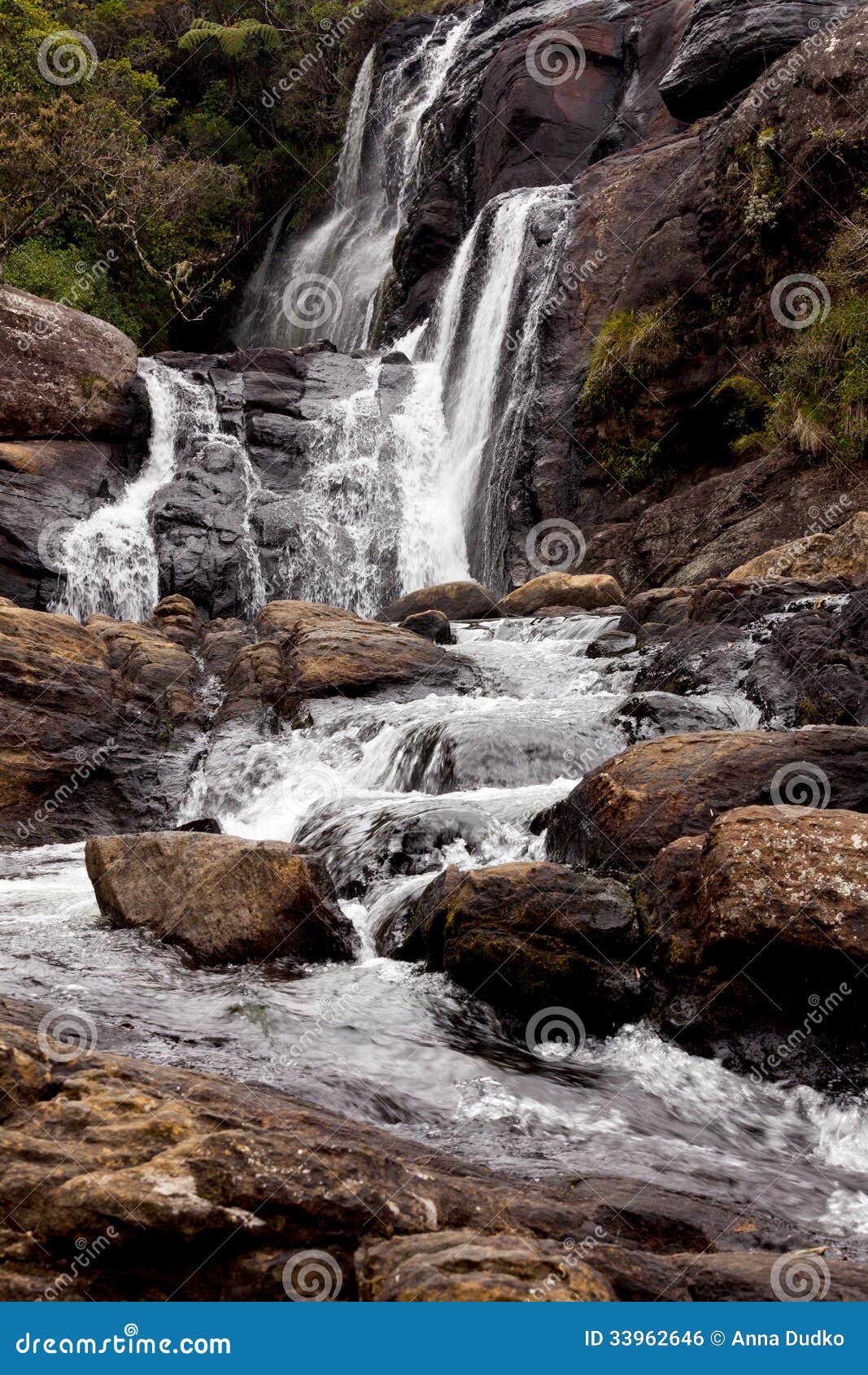 Wilde Waterval in Horton Plains National Park Stock Foto - Image of ...