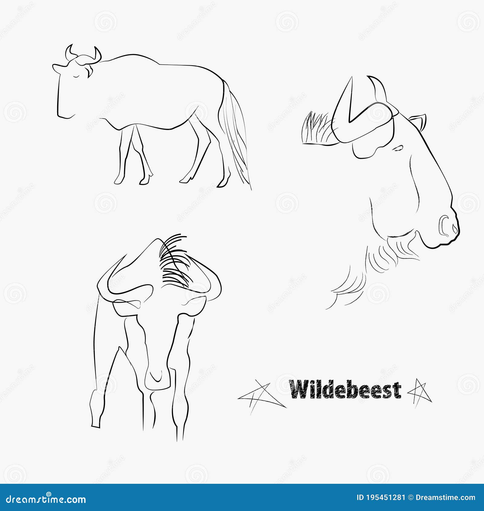Wildebeest Drawn with Lines by Hand . Drawing Lines Stock Vector ...