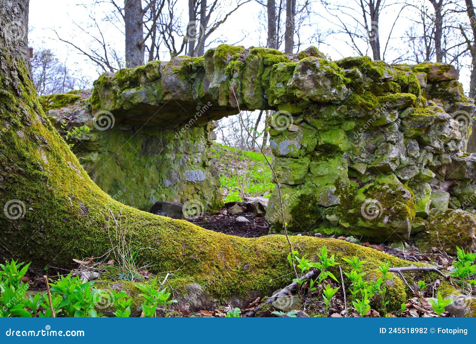 The Wildenberg Castle Ruins Stock Photo - Image of castle, excursion ...