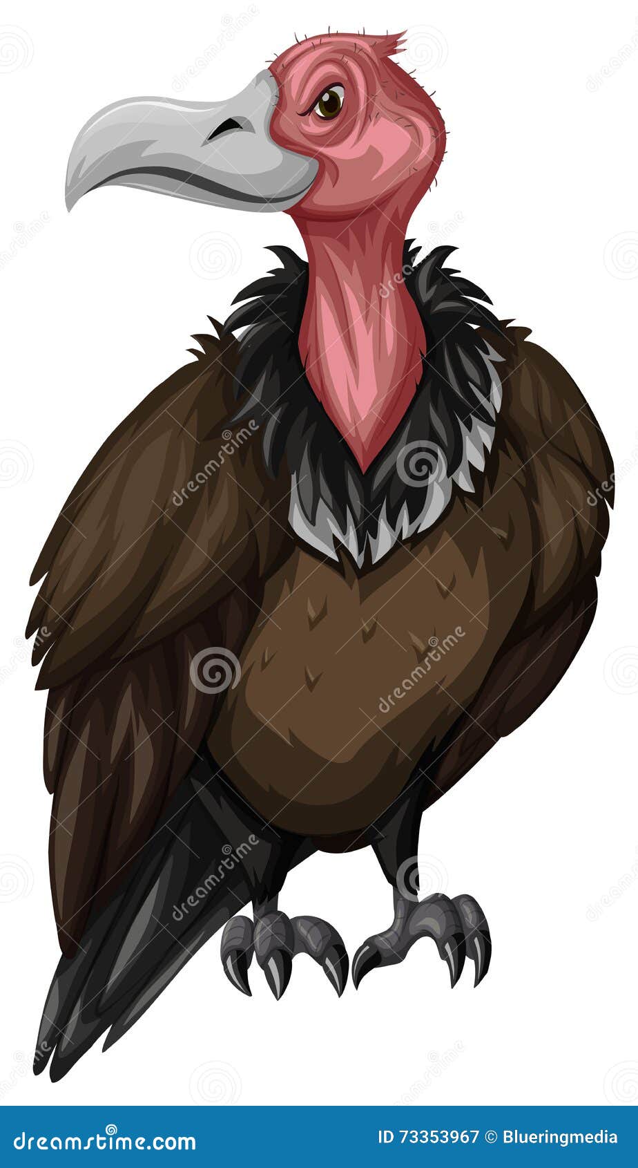 Wilder Geier Auf Weißem Hintergrund Vektor Abbildung - Illustration von ...