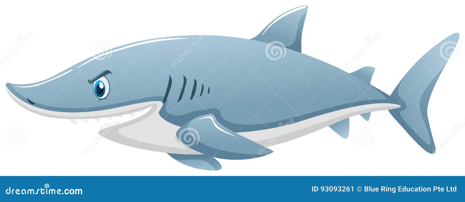 Wilder Haifisch Auf Weißem Hintergrund Vektor Abbildung - Illustration ...