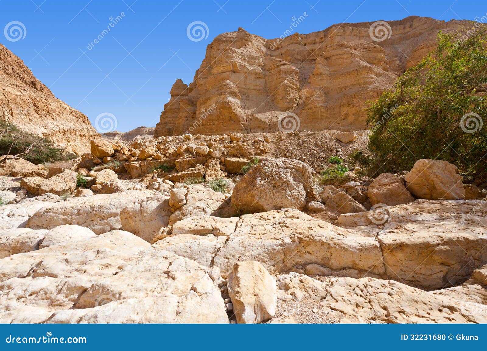 Wilderness stock photo. Image of canyon, palestine, desert - 32231680