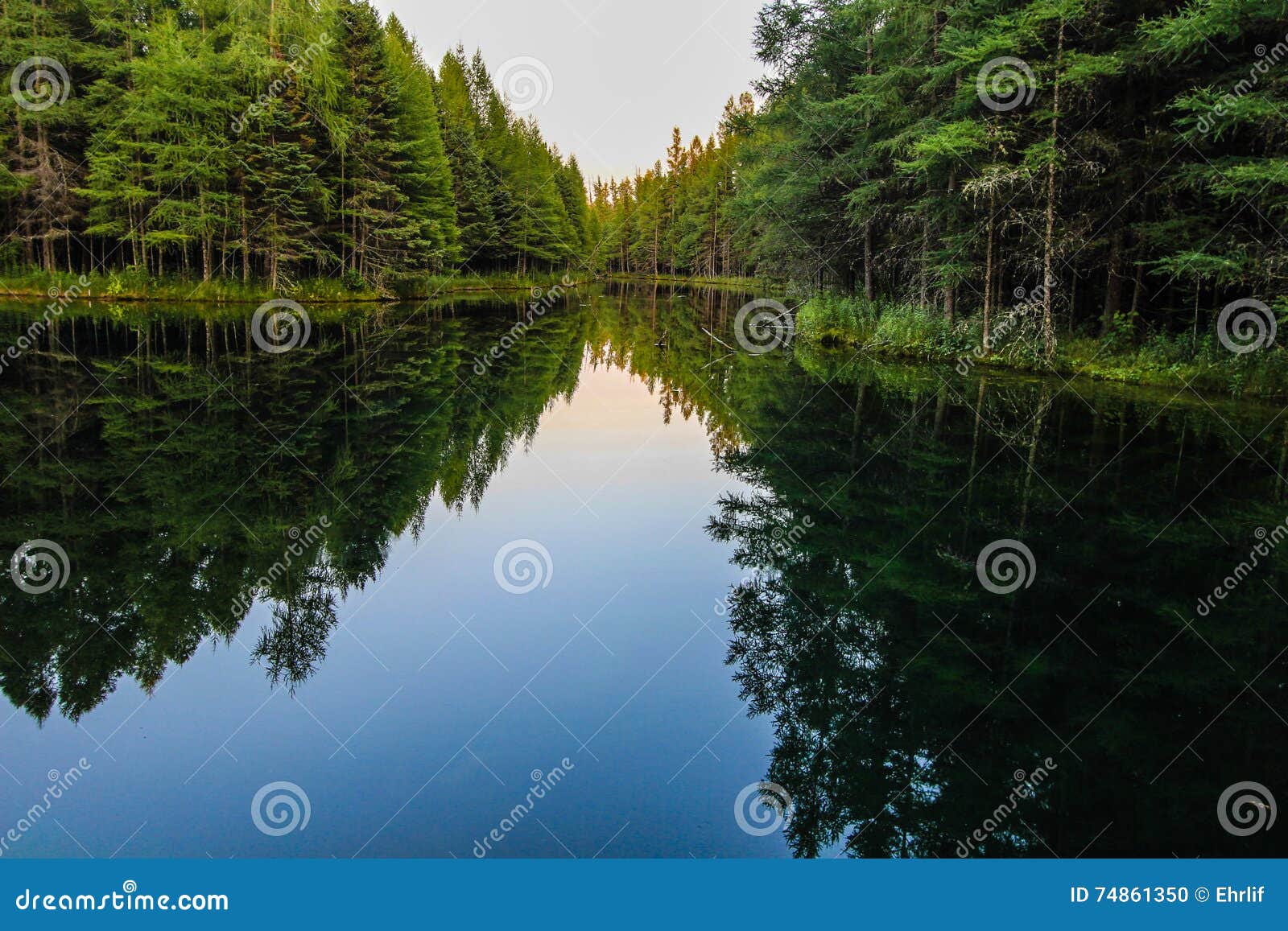 Wilderness Forest River Reflections Stock Photo - Image of indian ...