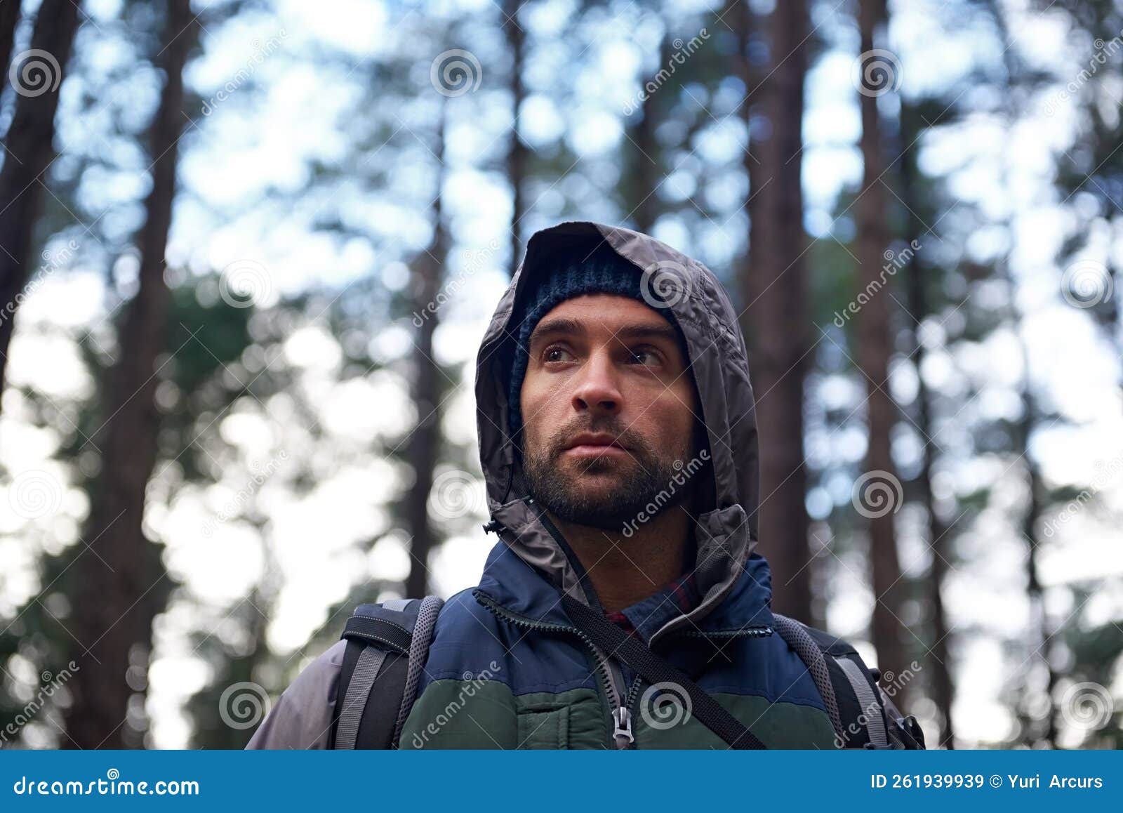 Into the Wilderness. a Handsome Young Man Hiking in a Forest. Stock ...