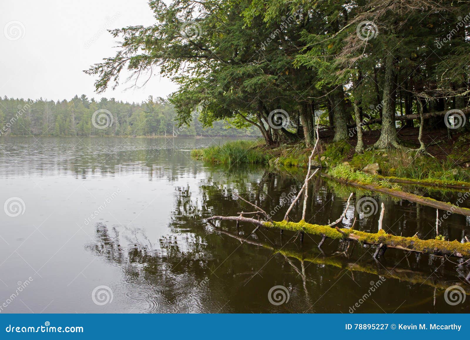 Wilderness Lake in the Rain Stock Image - Image of reflections ...