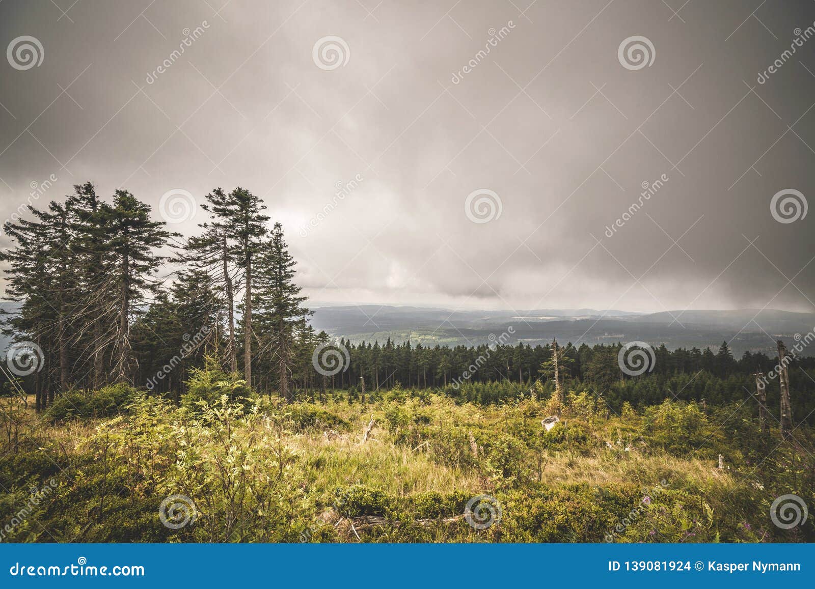 Wilderness Landscape in Cloudy Weather Overcast Stock Photo - Image of ...