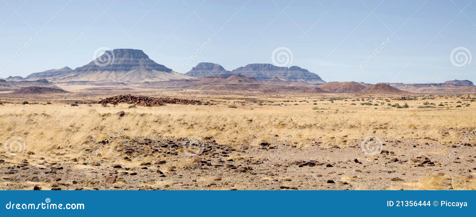 Wilderness in Namibia stock photo. Image of blue, dryness - 21356444