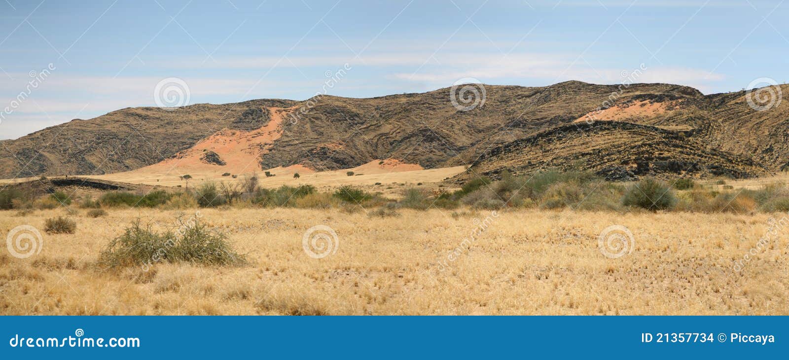 Wilderness in Namibia stock photo. Image of safari, arid - 21357734