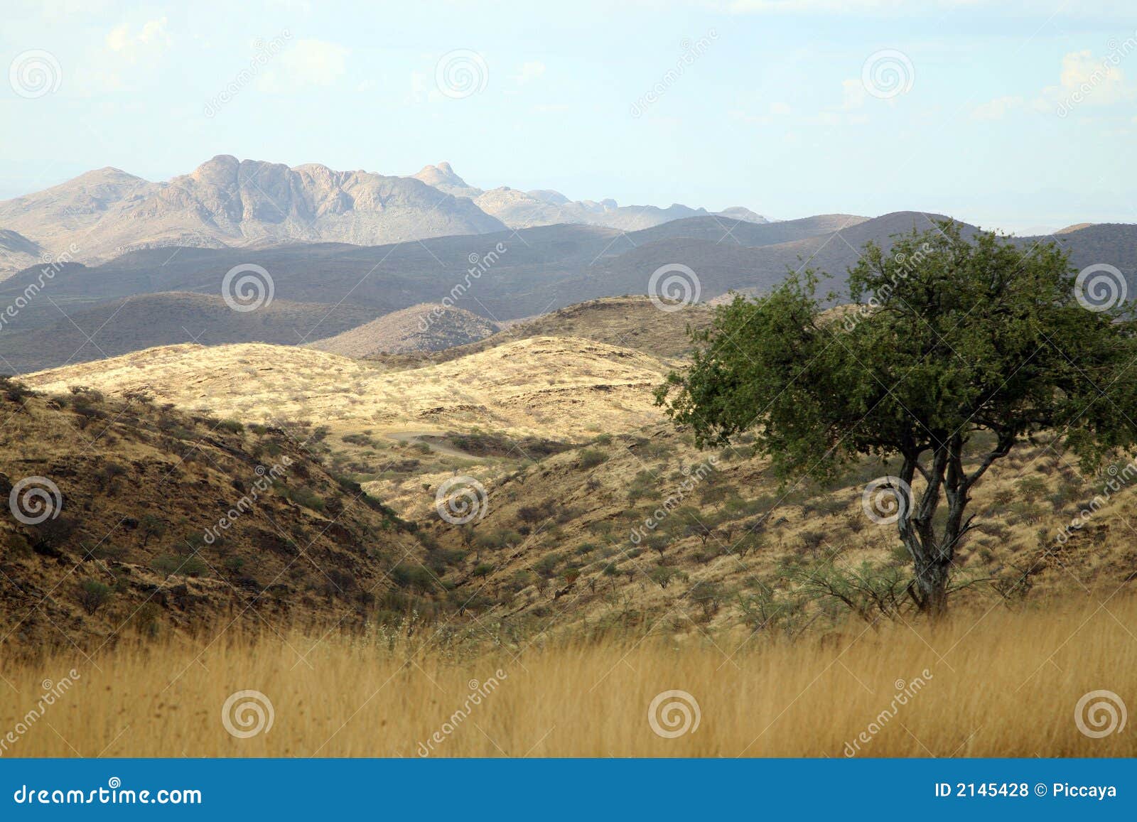 Wilderness in Namibia stock photo. Image of linked, desert - 2145428