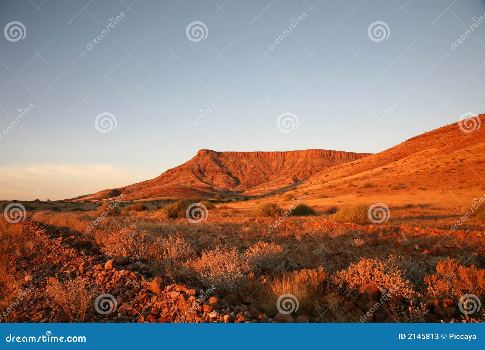 Wilderness in Namibia stock image. Image of drought, namib - 2145813