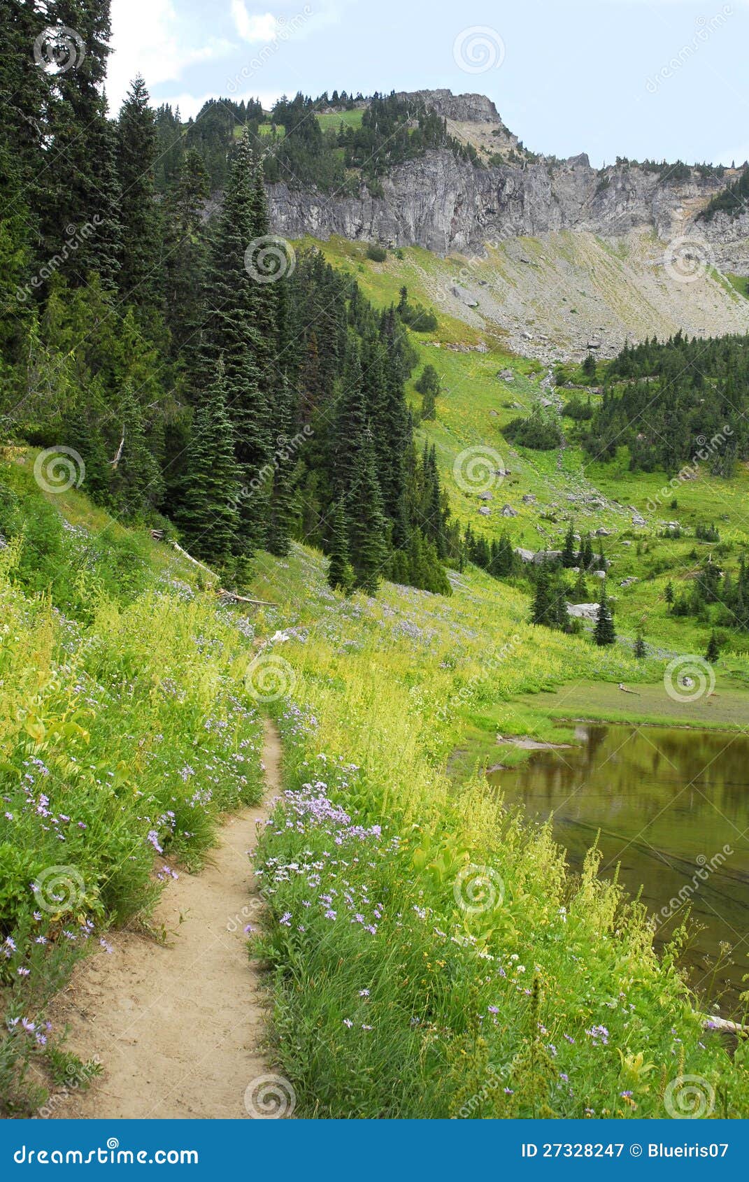 Wilderness PAthway stock image. Image of stand, shore - 27328247