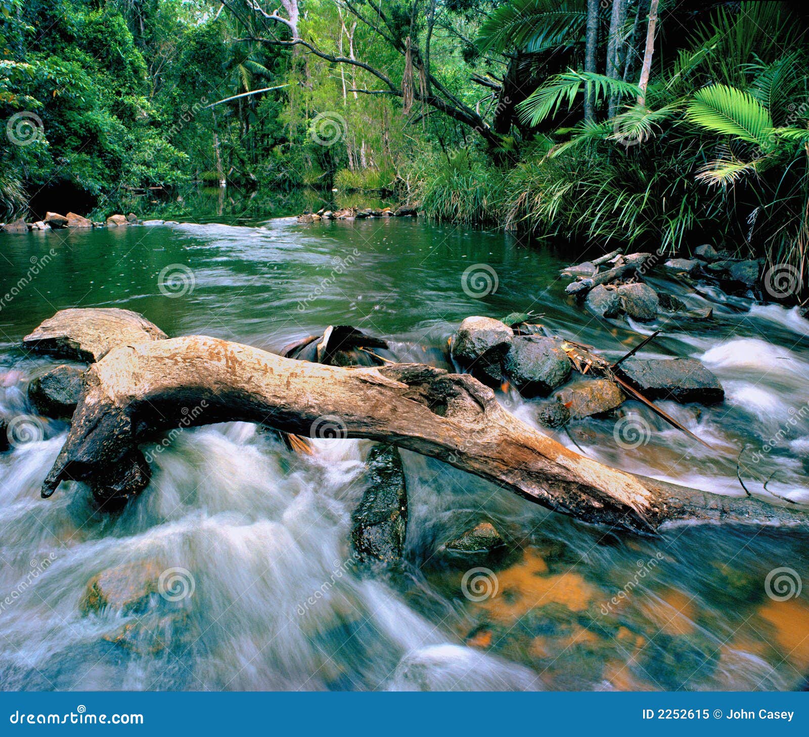 Wilderness River Rapids stock image. Image of outdoor - 2252615