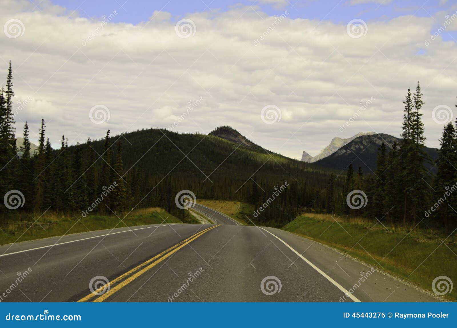 Wilderness road trip stock photo. Image of vista, range - 45443276