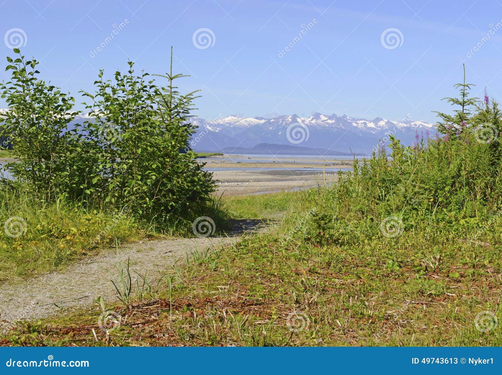 Wilderness scene in Alaska stock image. Image of nature - 49743613