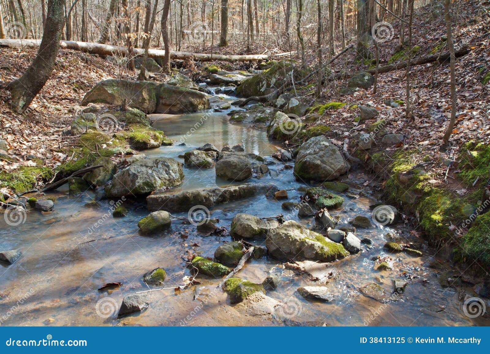 Wilderness Stream Filled with Rocks Stock Image - Image of creek ...