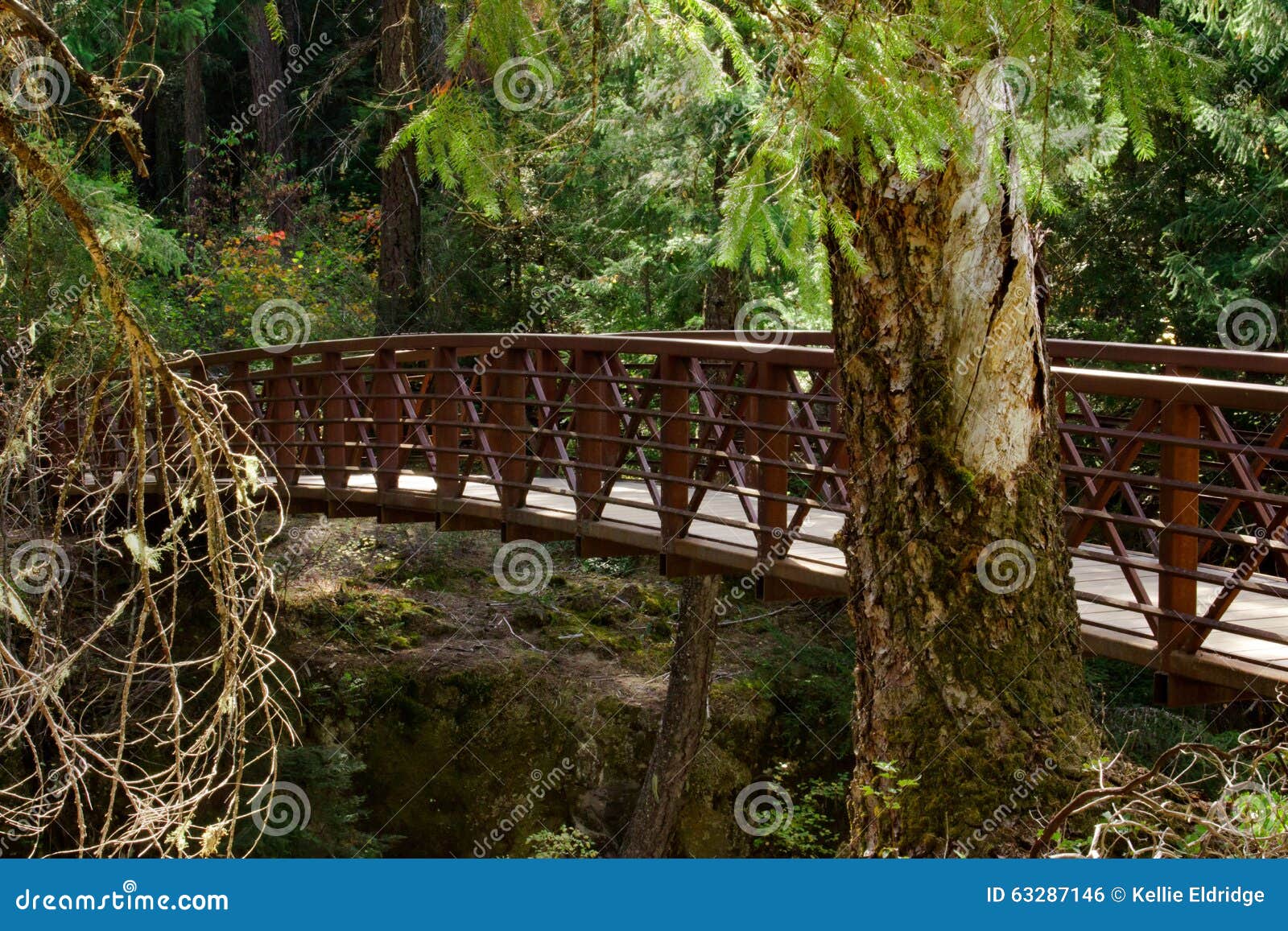 Wilderness trail bridge stock photo. Image of arching - 63287146