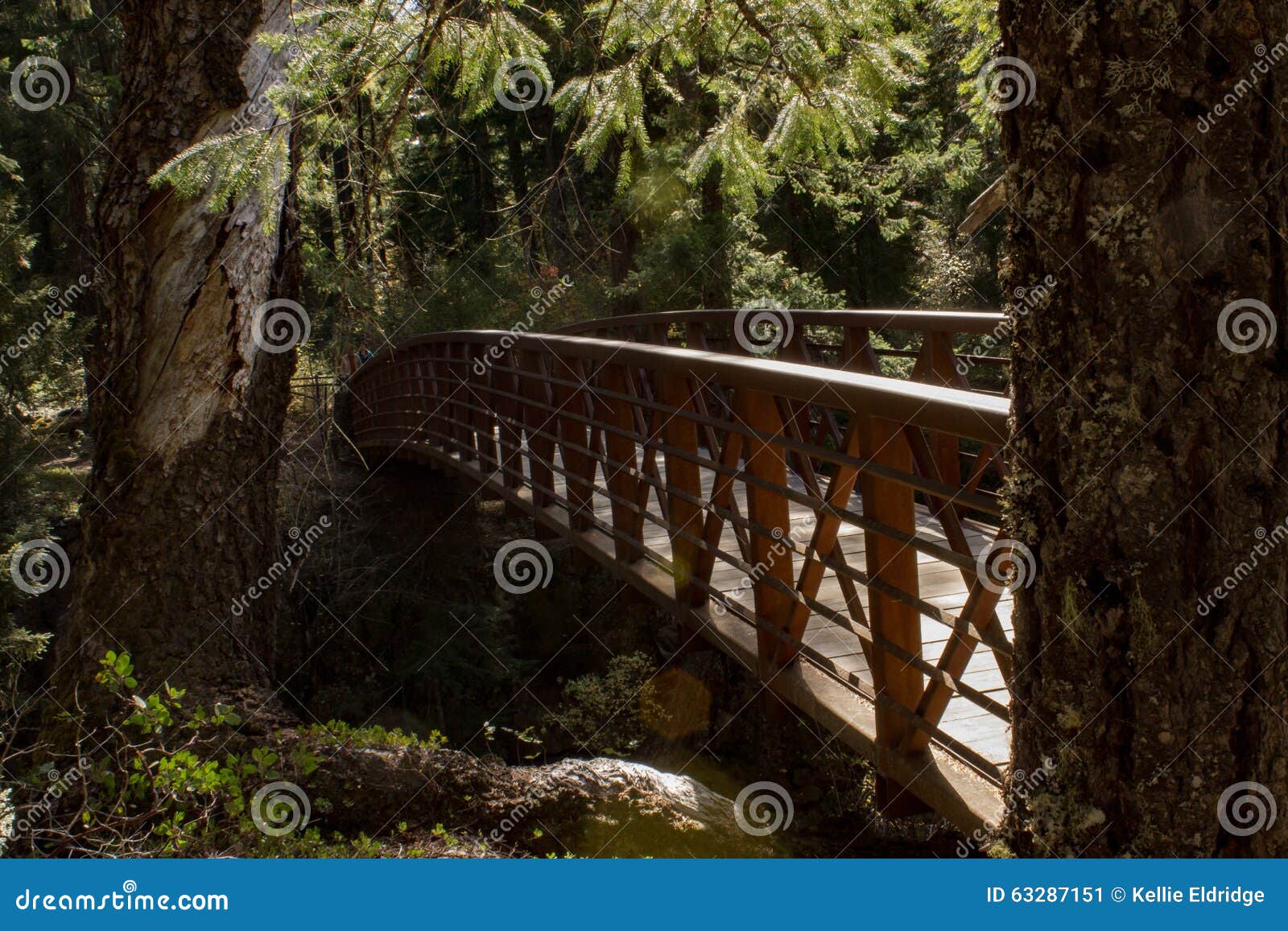 Wilderness trail bridge stock image. Image of coniferous - 63287151
