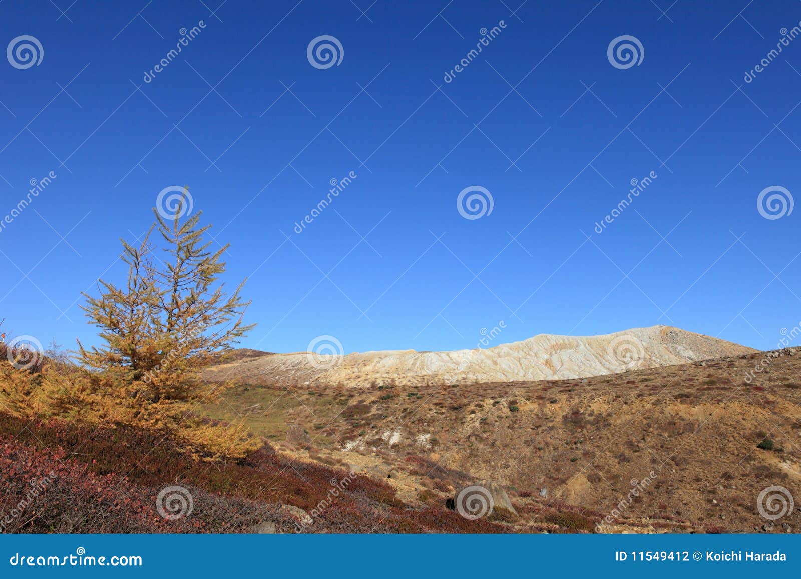 The wilderness and volcano stock photo. Image of scene - 11549412