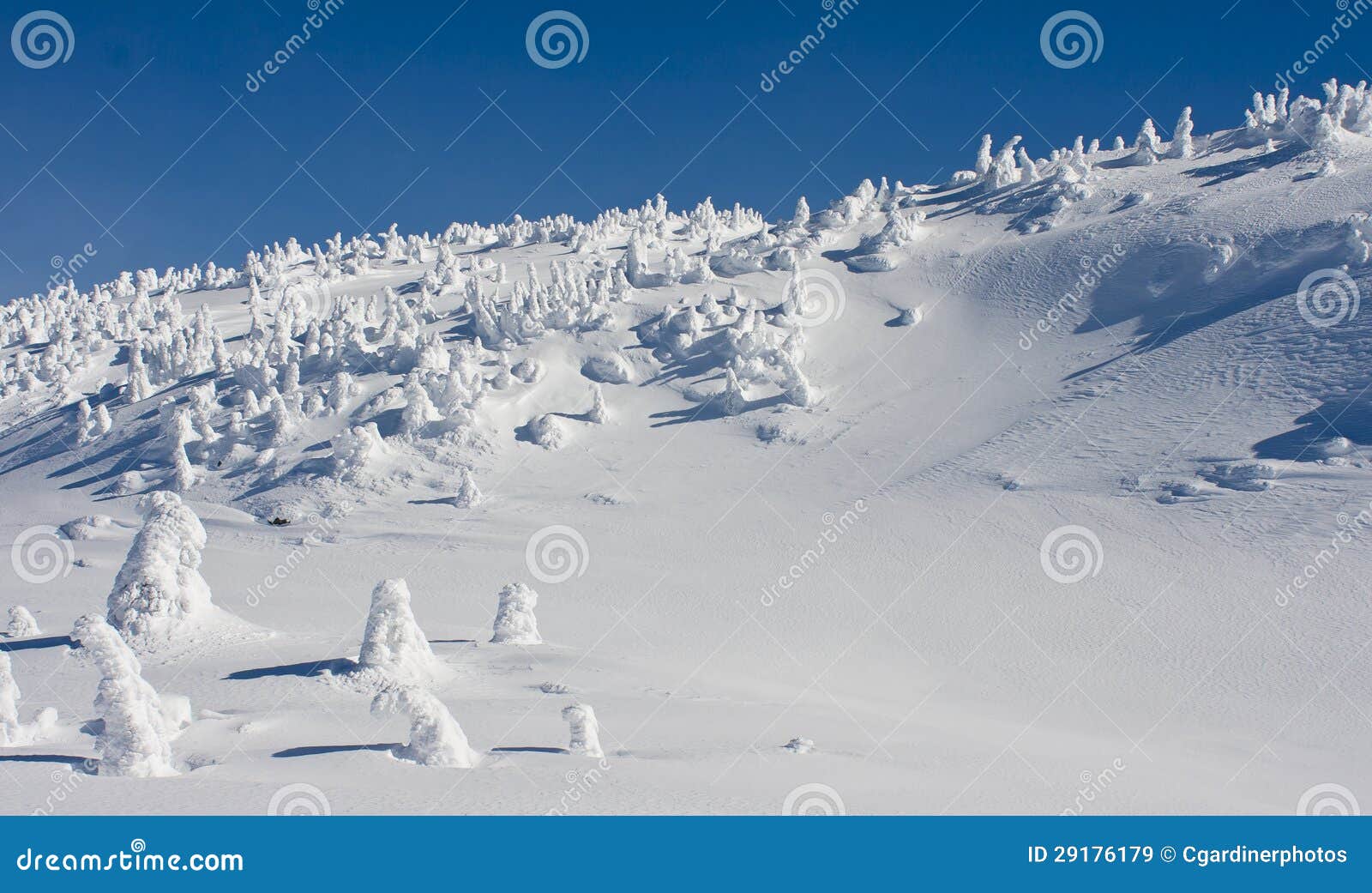 Wilderness Winter Terrain stock image. Image of subzero - 29176179