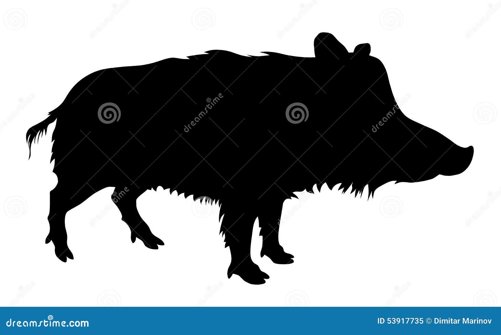 Wildes Schwein vektor abbildung. Illustration von vektor - 53917735