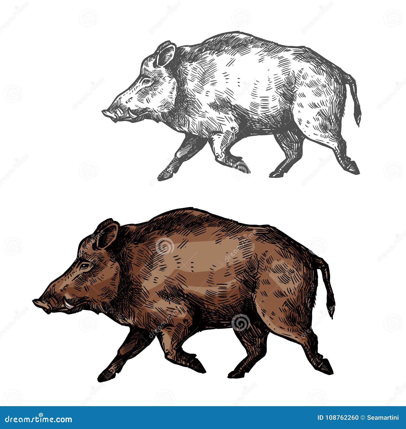 Wildes Tier Der Eber Aper Vektorskizze Vektor Abbildung - Illustration ...