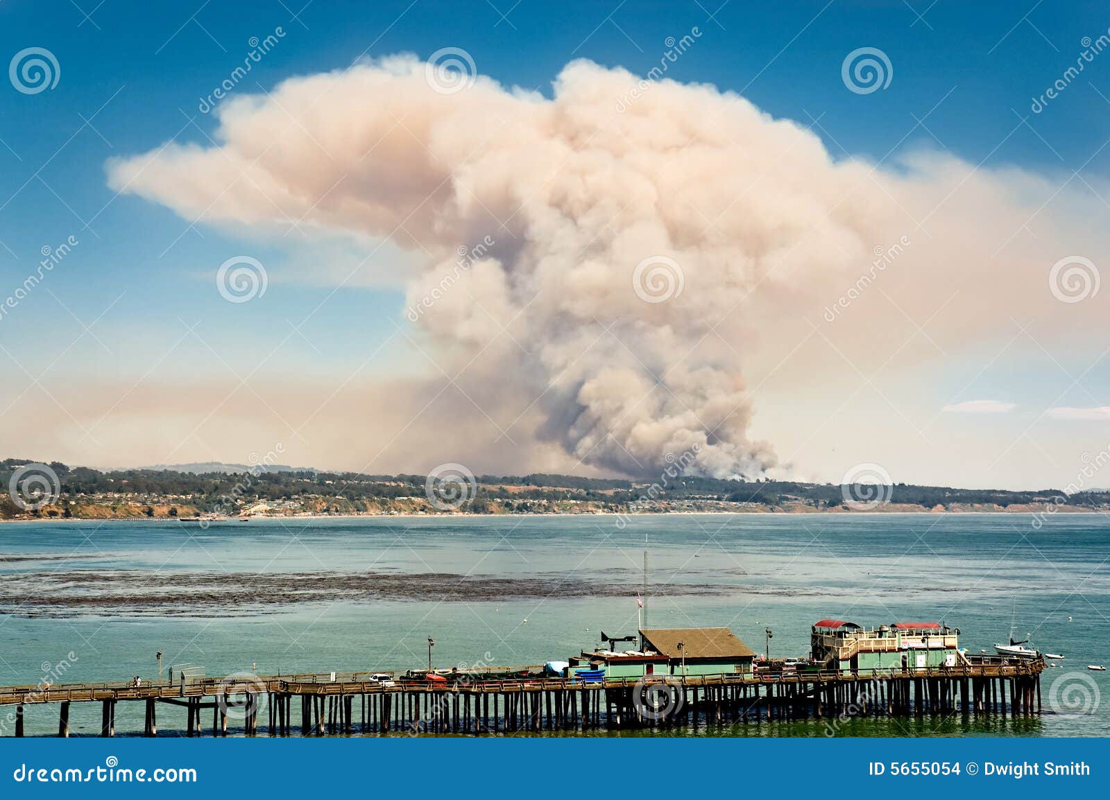 Wildfire stock photo. Image of arson, heat, darken, dark - 5655054
