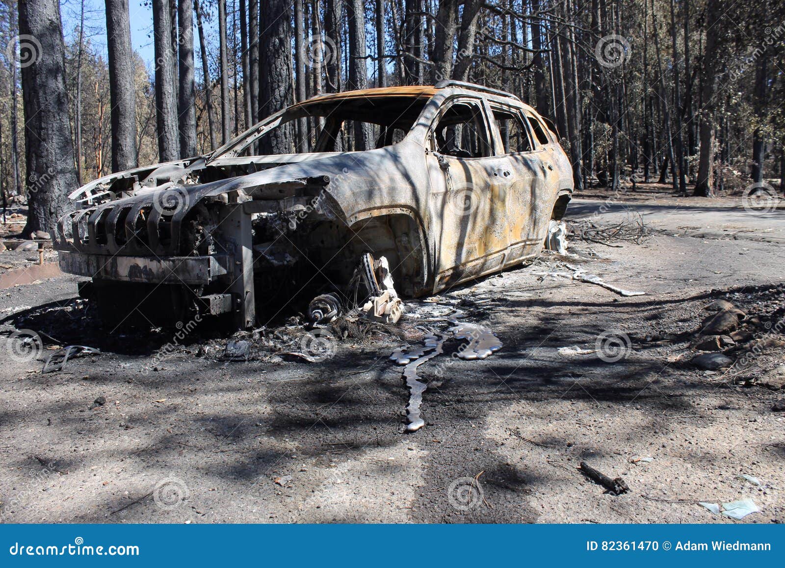 Wildfire aftermath stock photo. Image of valley, wildfire - 82361470