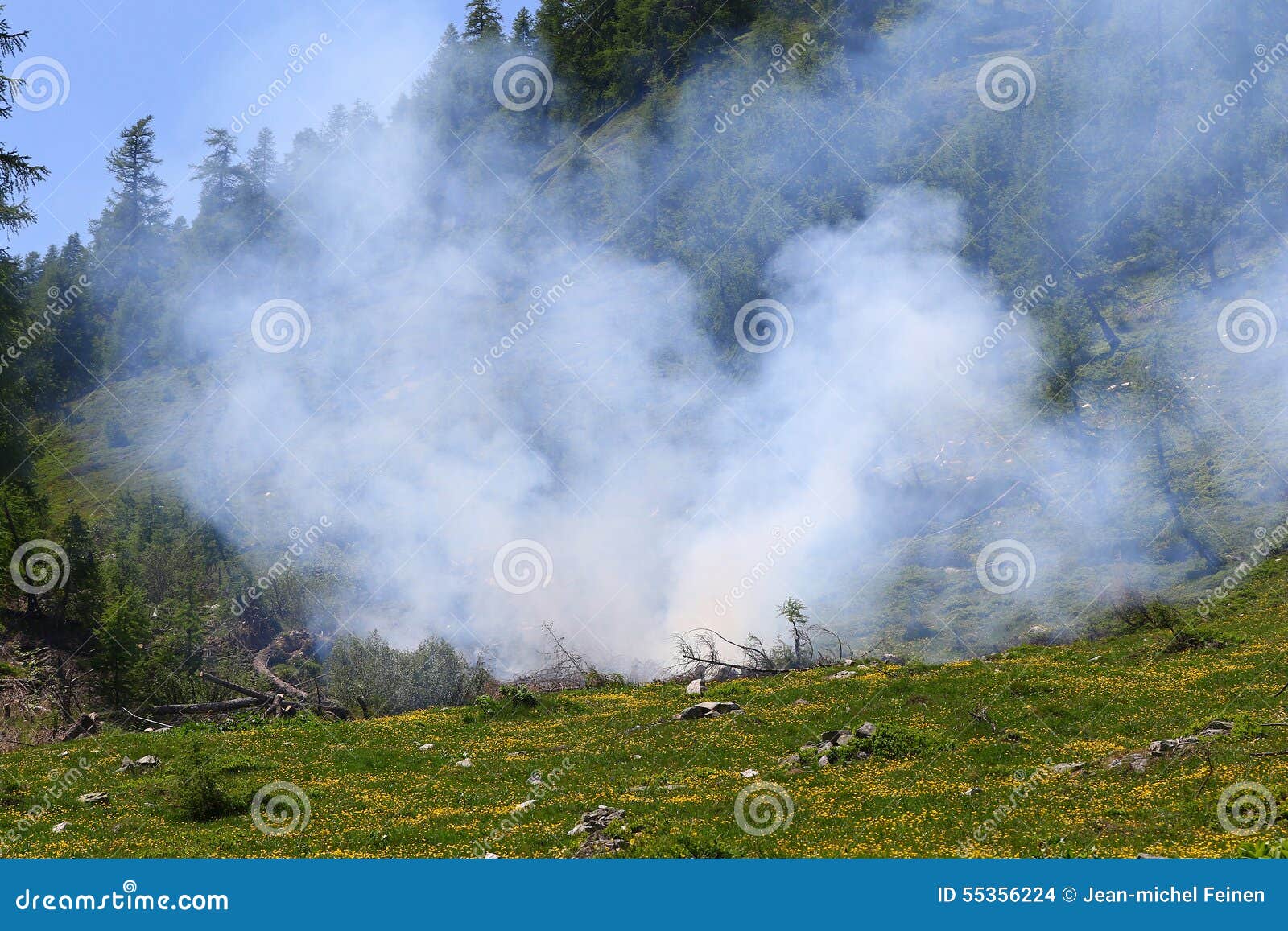 Wildfire in a Mountain Meadow Stock Photo - Image of mountain, field ...