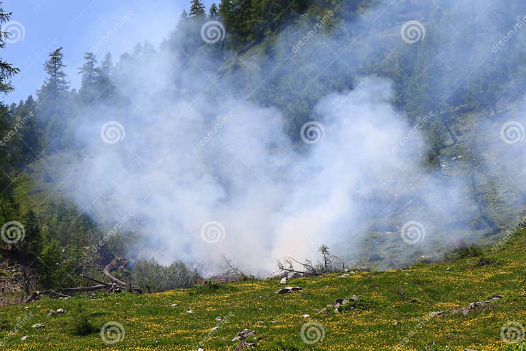 Wildfire in a Mountain Meadow Stock Photo - Image of mountain, field ...