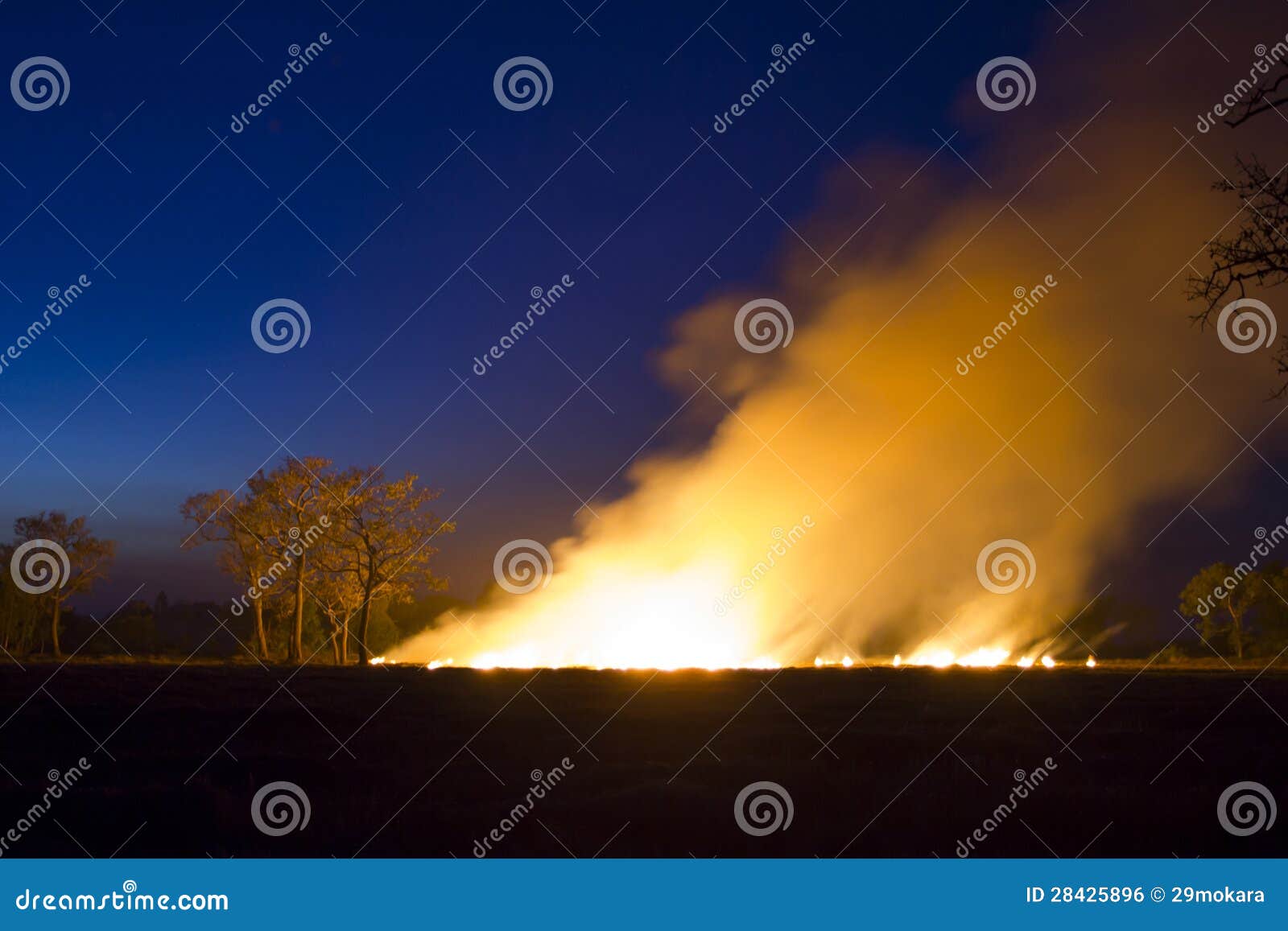 Wildfire Burning Forest Ecosystem Is Destroyed Stock Photography ...