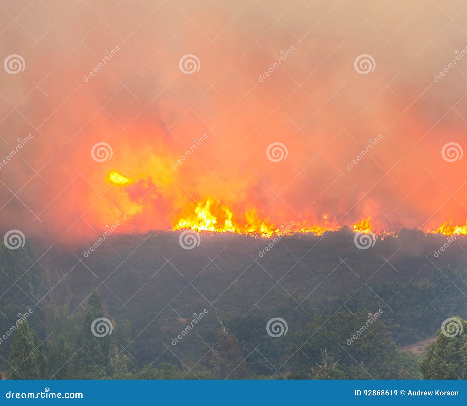 Wildfire Burning Out of Control Stock Image - Image of green, service ...