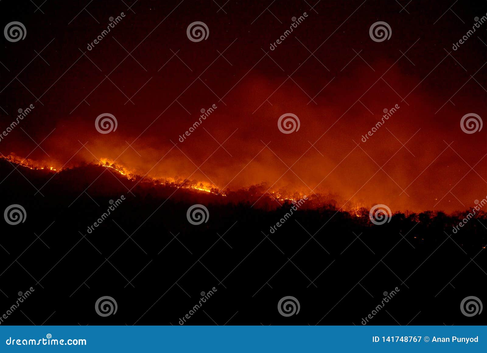 Wildfire Disaster - Fire Burning Mountain in Night Time Stock Image ...