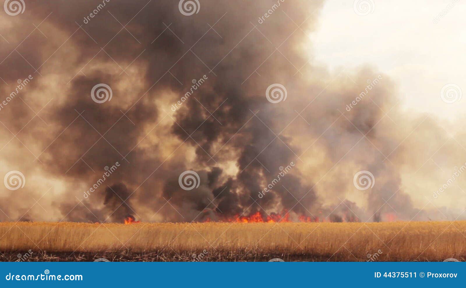 Fields Wildfire Stock Footage & Videos - 198 Stock Videos