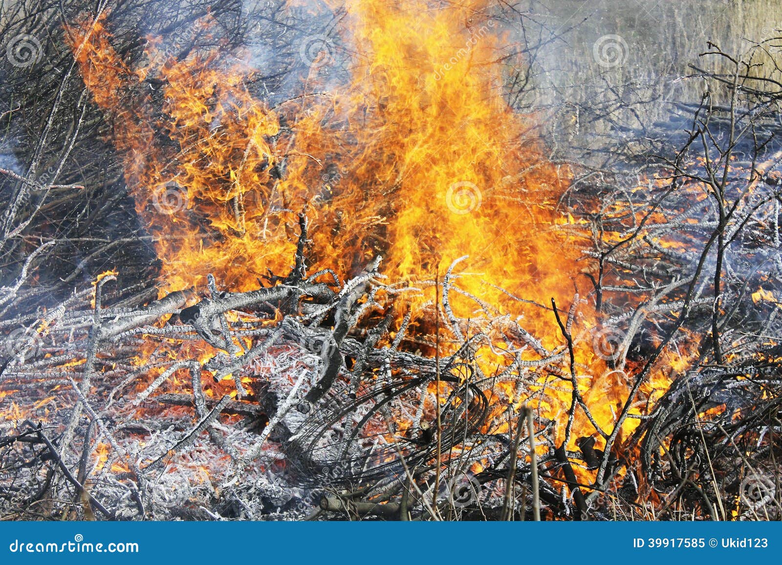 Wildfire stock image. Image of flame, business, abstract - 39917585