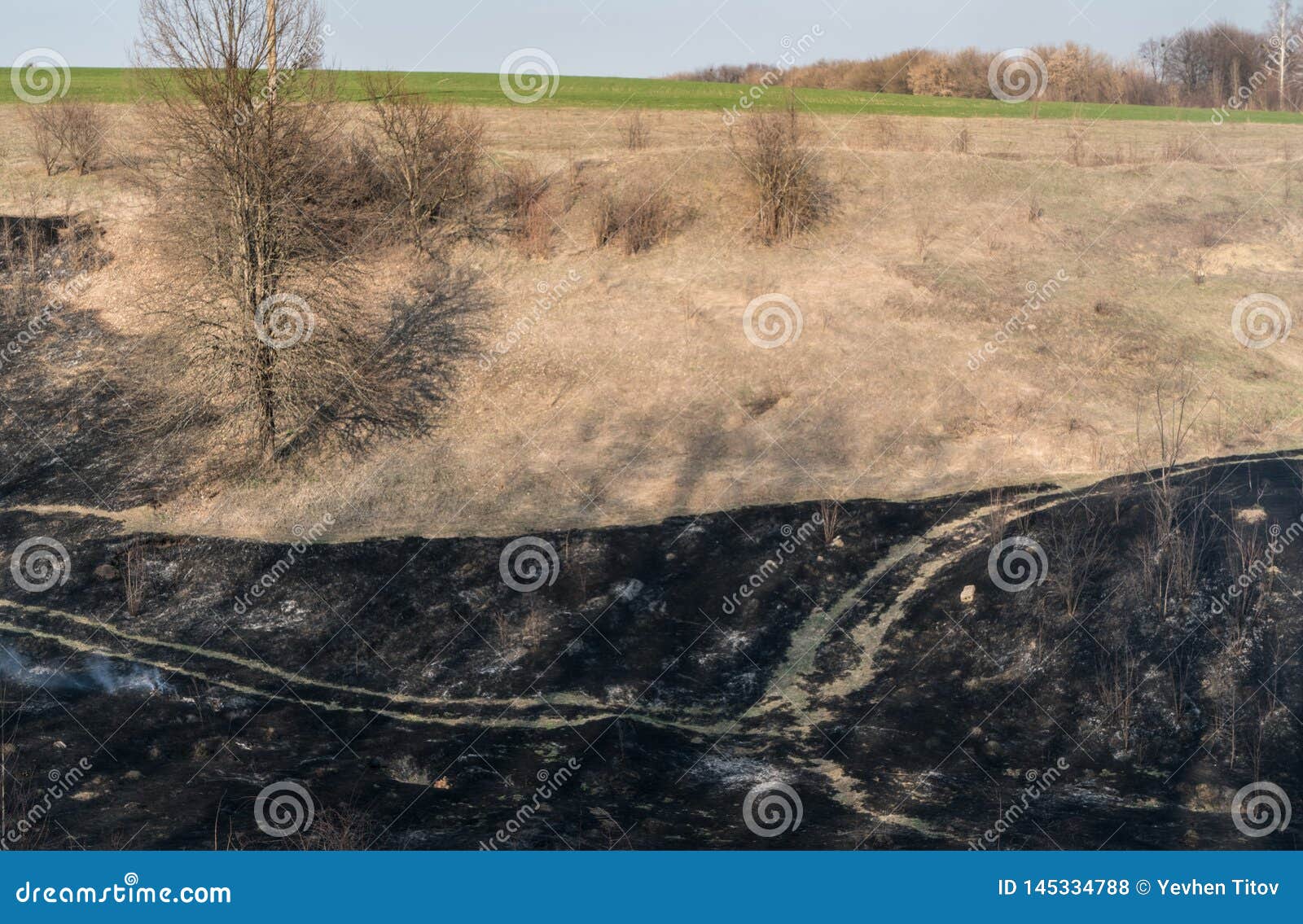 Wildfire, Fire Traces in a Meadow in a Valley Stock Photo - Image of ...