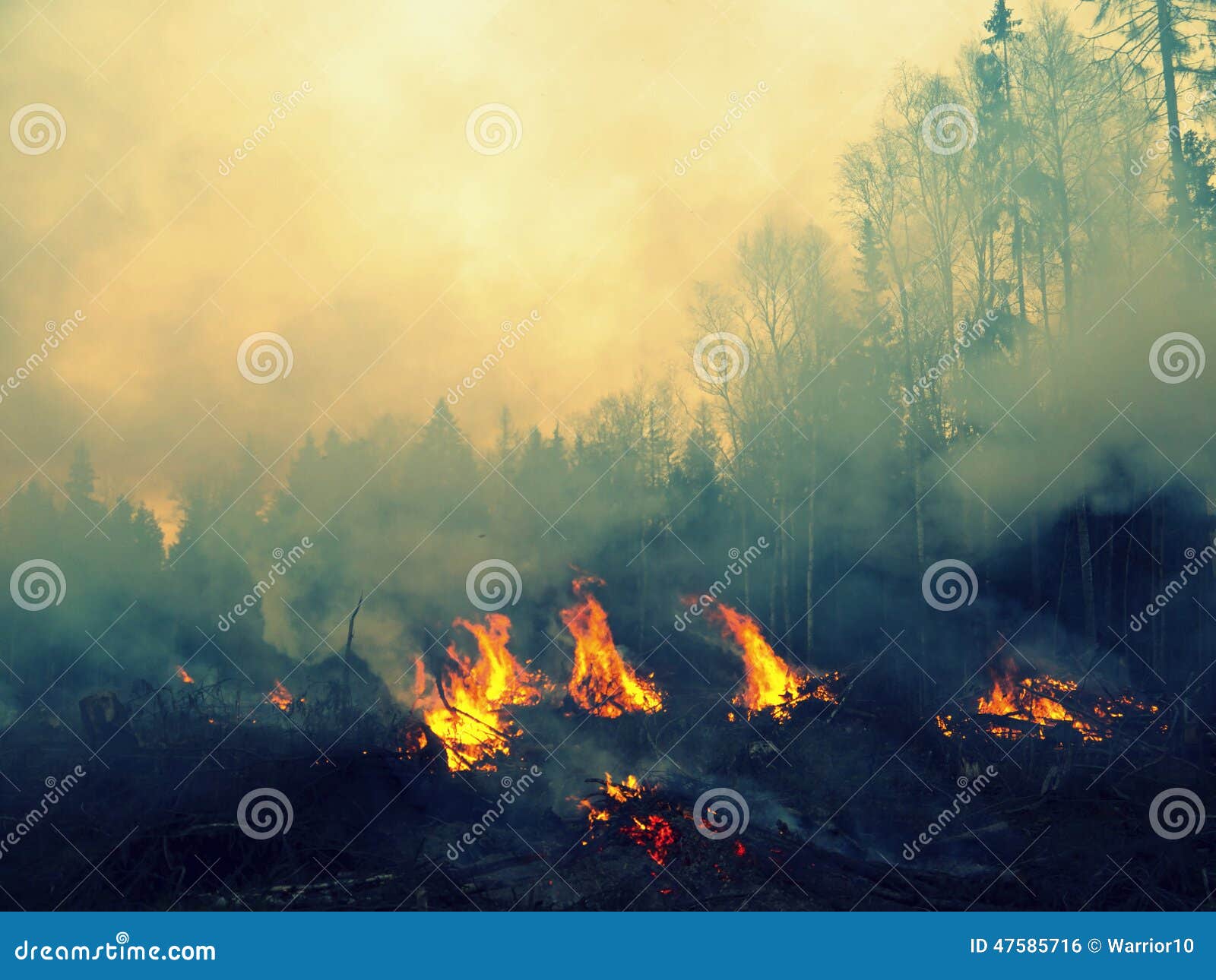 Wildfire stock photo. Image of engulf, village, natural - 47585716