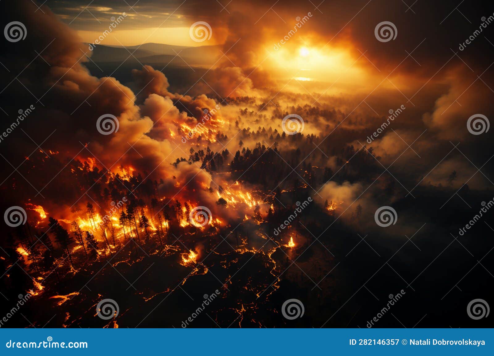 Wildfire in Forest Natural Catastrophe,uncontrolled Fire Stock ...