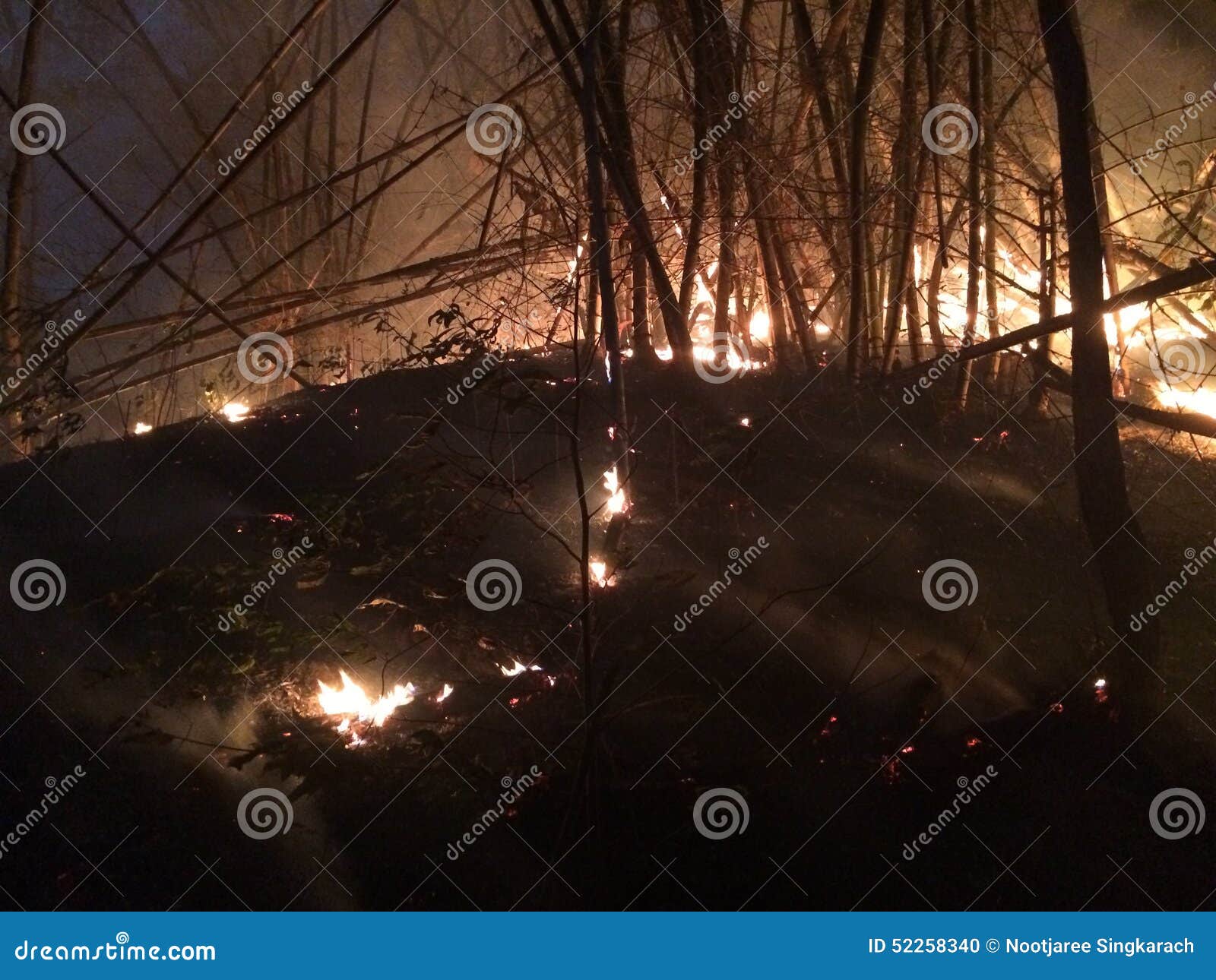 Wildfire at night. stock photo. Image of global, party - 52258340