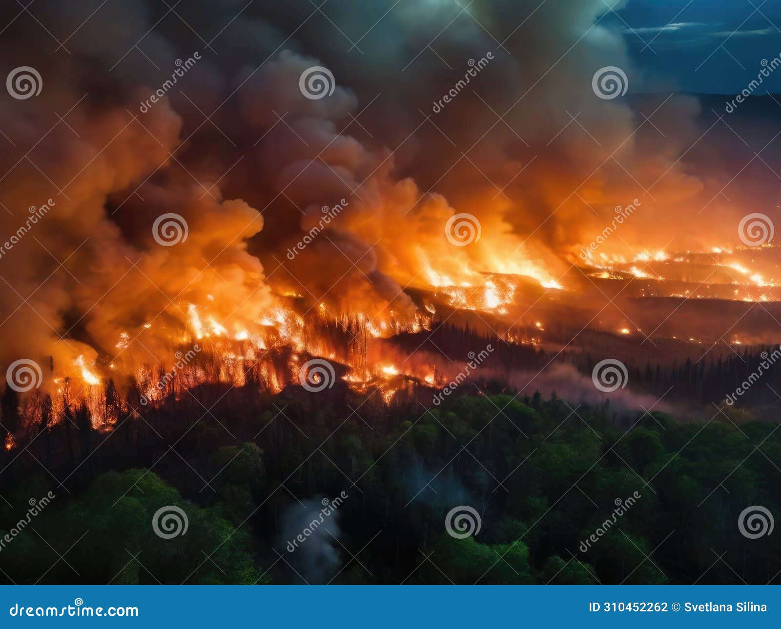 Wildfire Raging through a Forest at Night, Large Flames and Smoke Stock ...