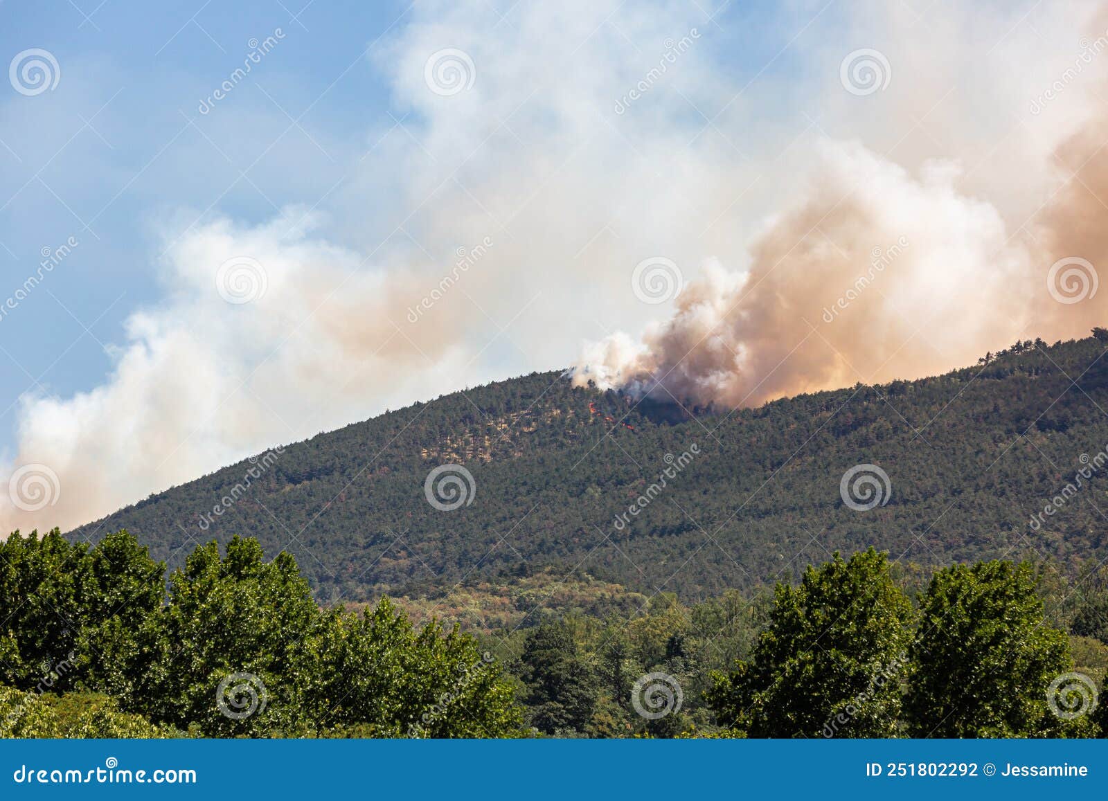 Wildfire with Strong Wind and Drought Stock Photo - Image of emergency ...