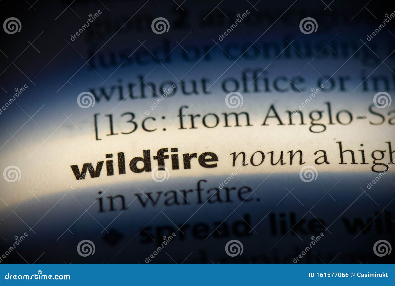 Wildfire stock photo. Image of paper, text, info, focus - 161577066