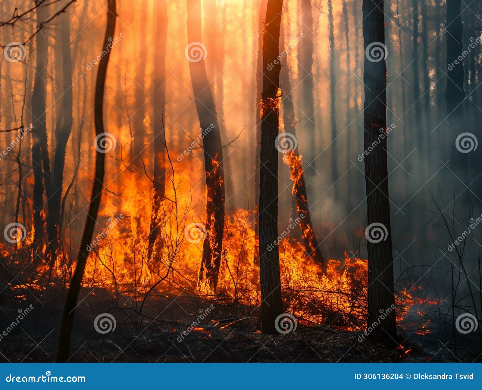 Wildfires Burning Trees with Smoke Stock Photo - Image of embers, brush ...