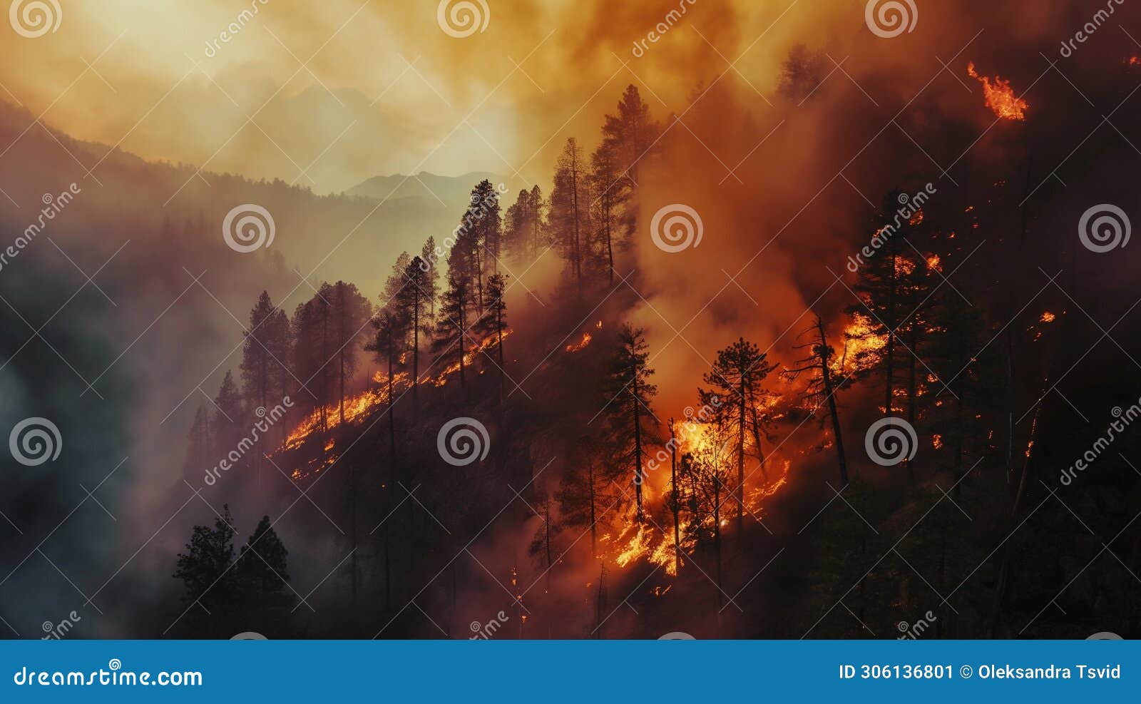 Wildfires Burning Trees with Smoke Stock Image - Image of fire ...