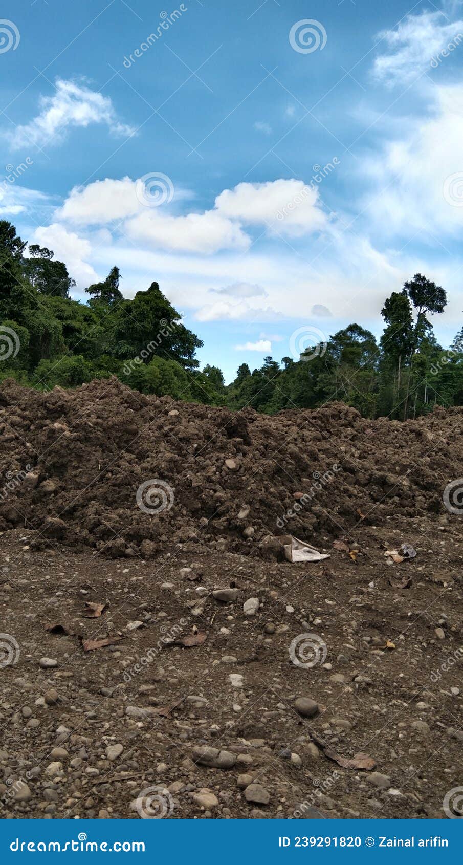 Wildflower Behind the Screen Stock Photo - Image of land, screen: 239291820