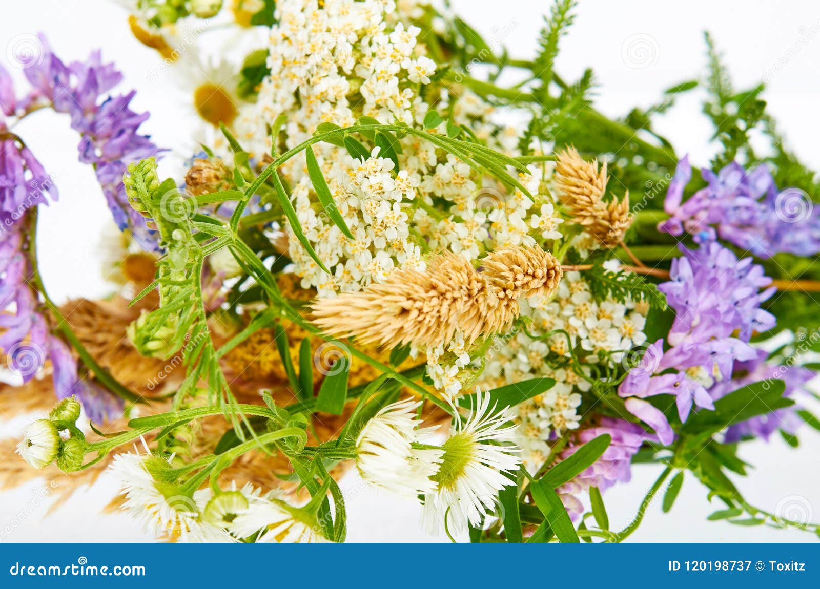 Wildflower Tied in a Bunch Isolated on the White Background. Stock ...